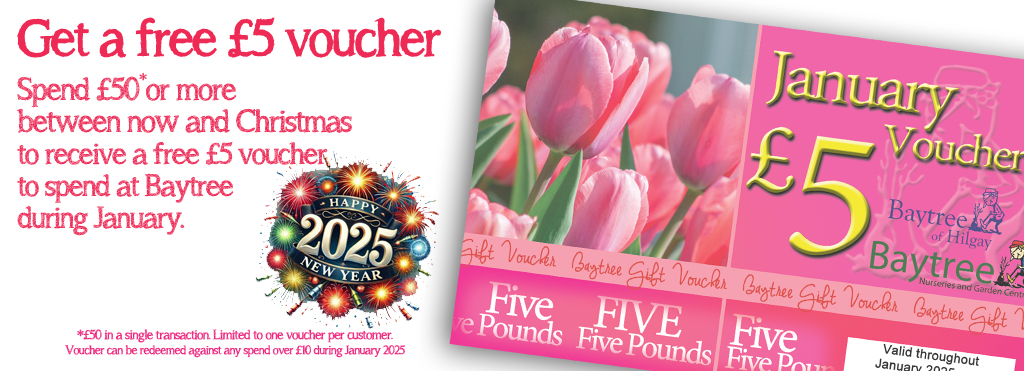 Baytree Garden Centre